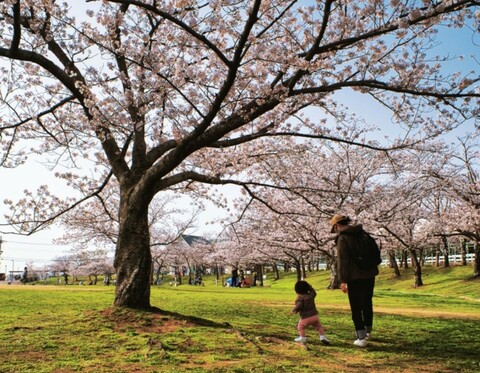 t-suke's (No.2043858) Profile - PIXTA