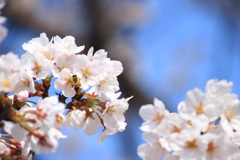 Kana.さん（No.2076573）のプロフィール - PIXTA