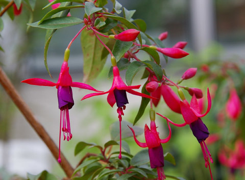 fumi's (No.557168) Profile - PIXTA